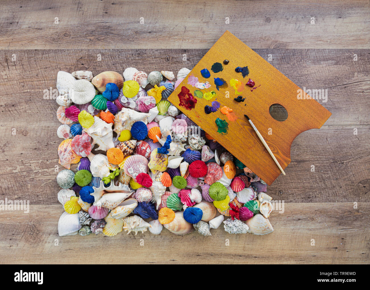 Painted sea shells. Collection of shells painted in different colors ...