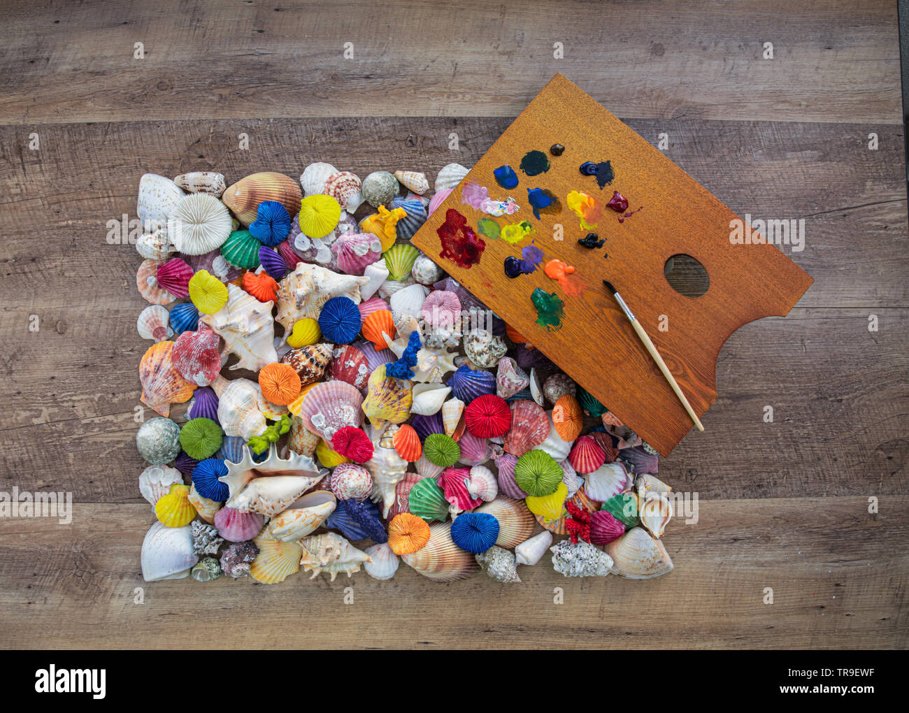 Painted sea shells. Collection of shells painted in different colors ...