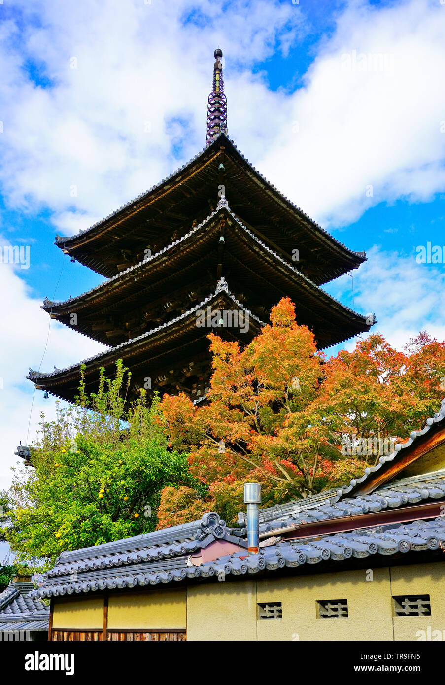 To Ji Pagoda Kyoto High Resolution Stock Photography and Images - Alamy