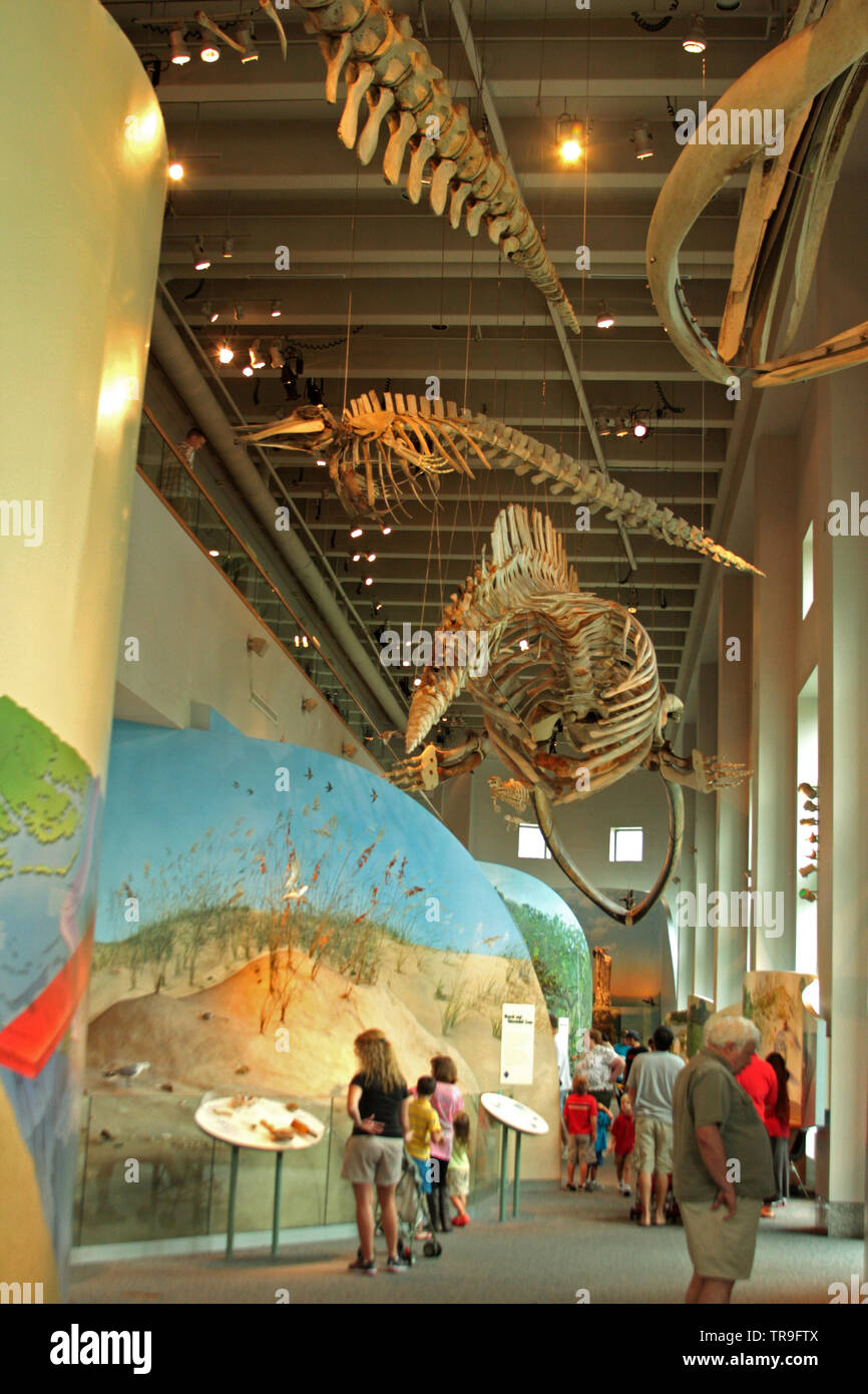 Charlotte museum of history nc hi-res stock photography and images - Alamy