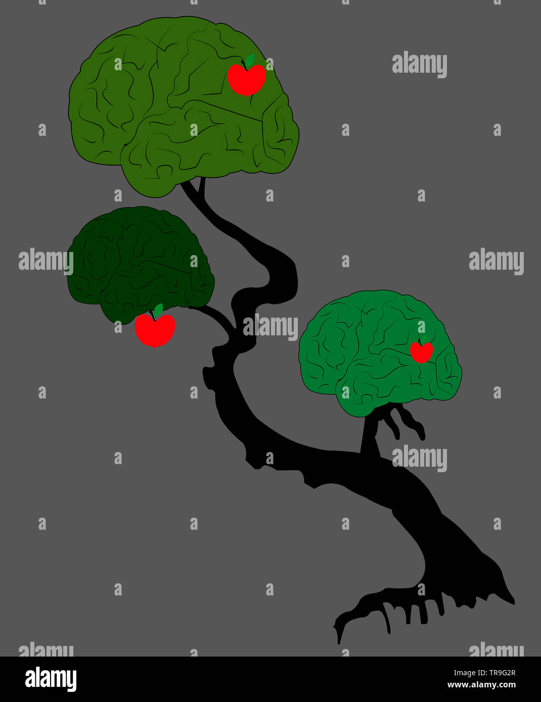 illustration of a tree with brian as foliage and apple fruit on a grey ...