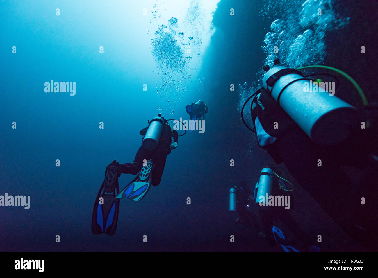 Great Blue Hole Scuba