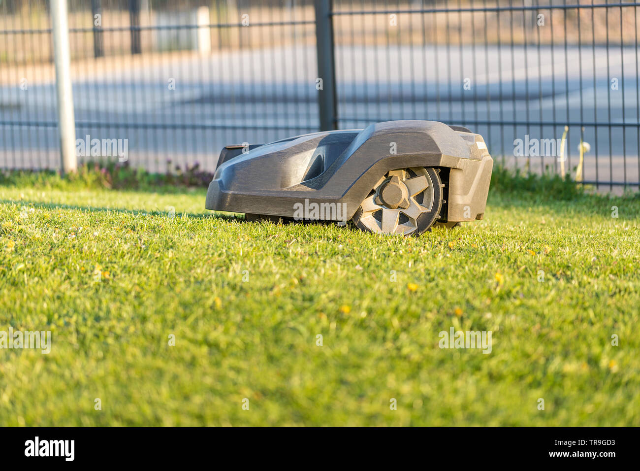 an automatic modern lawn mower Stock Photo - Alamy