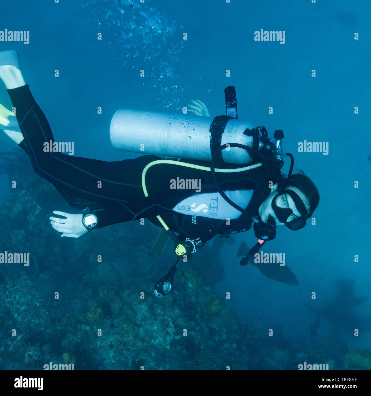 Scuba diver underwater, Tarpon Cayes, Belize Barrier Reef, Lighthouse ...