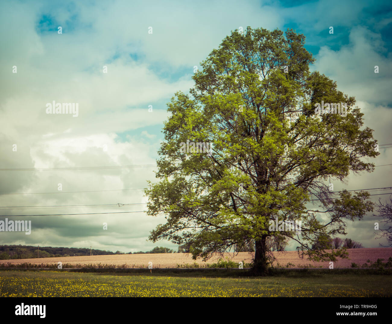 Loudoun county hi-res stock photography and images - Alamy