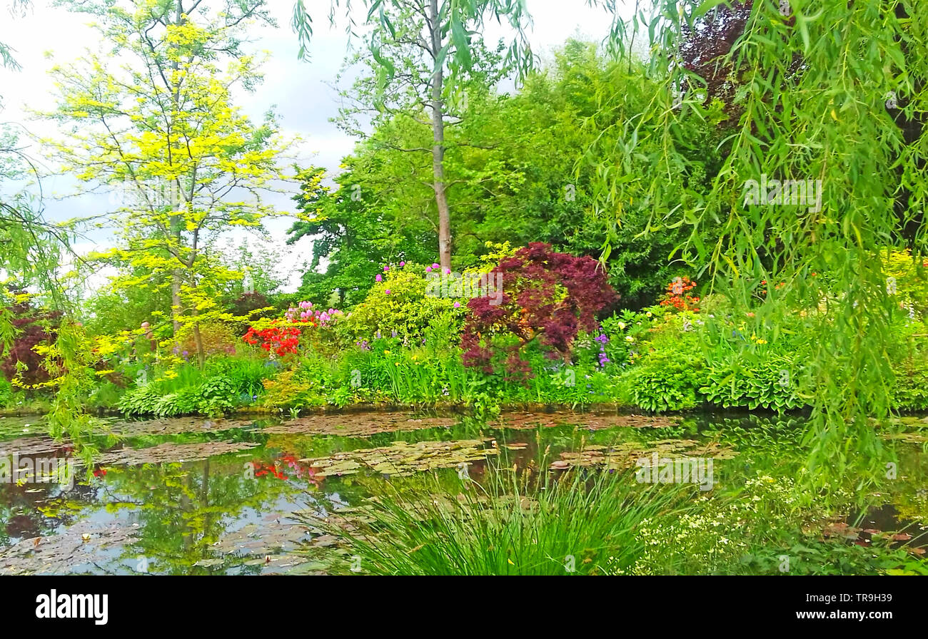 Claude monet water lily pond hi-res stock photography and images - Alamy