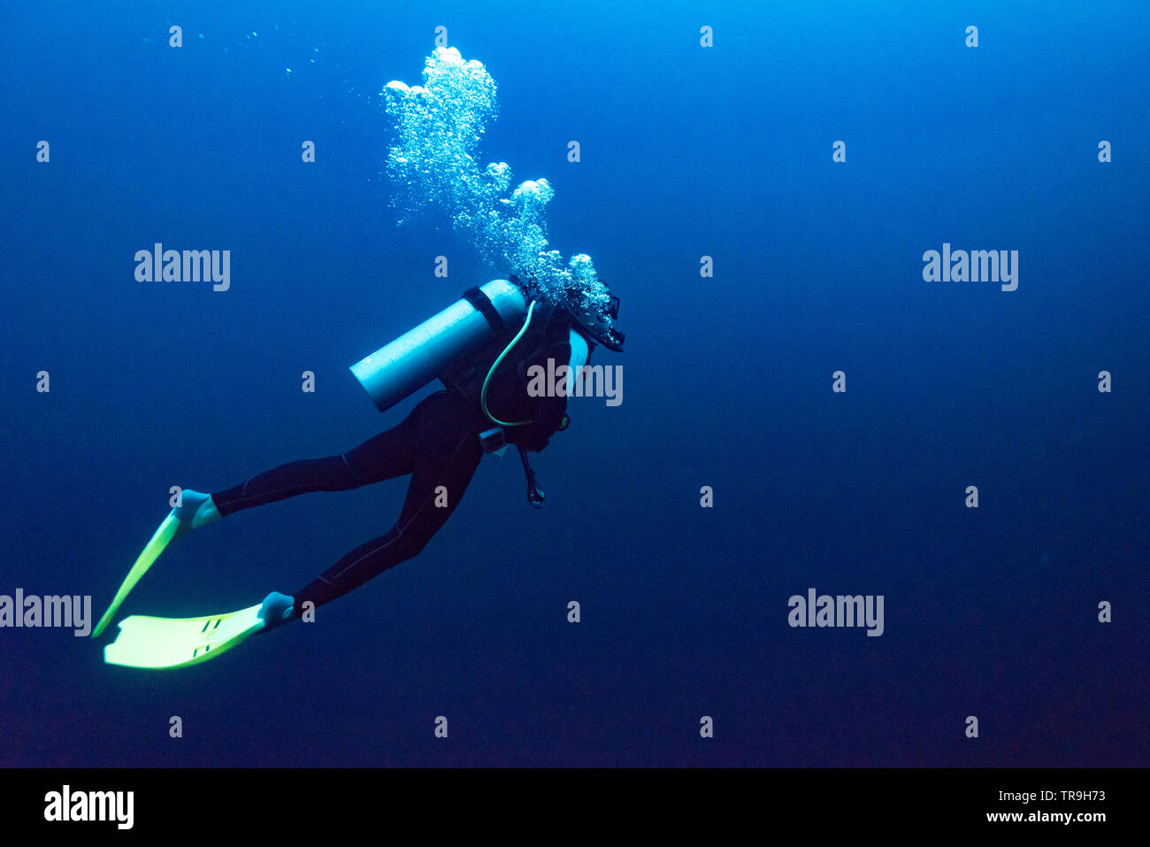 Scuba diver under water, The Great Blue Hole, Belize Barrier Reef ...