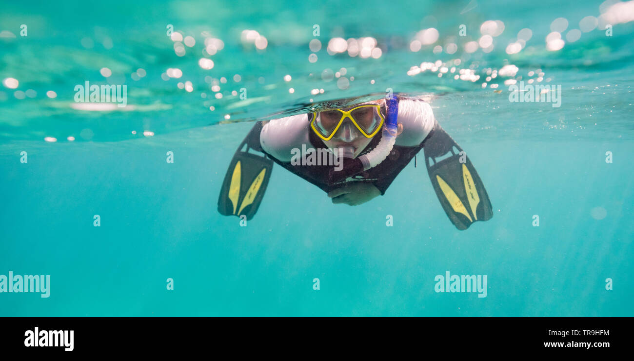 Man snorkeling, Turneffe Atoll, Belize Barrier Reef, Belize Stock Photo ...