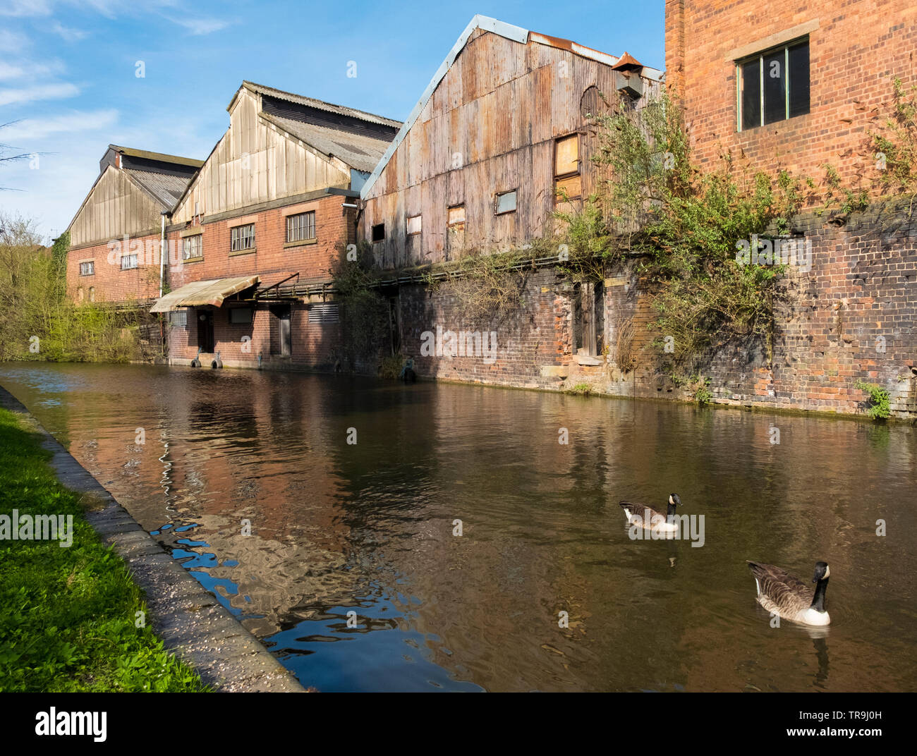 Old factories and warehouses alongside Stourbridge Canal, Stourbridge ...