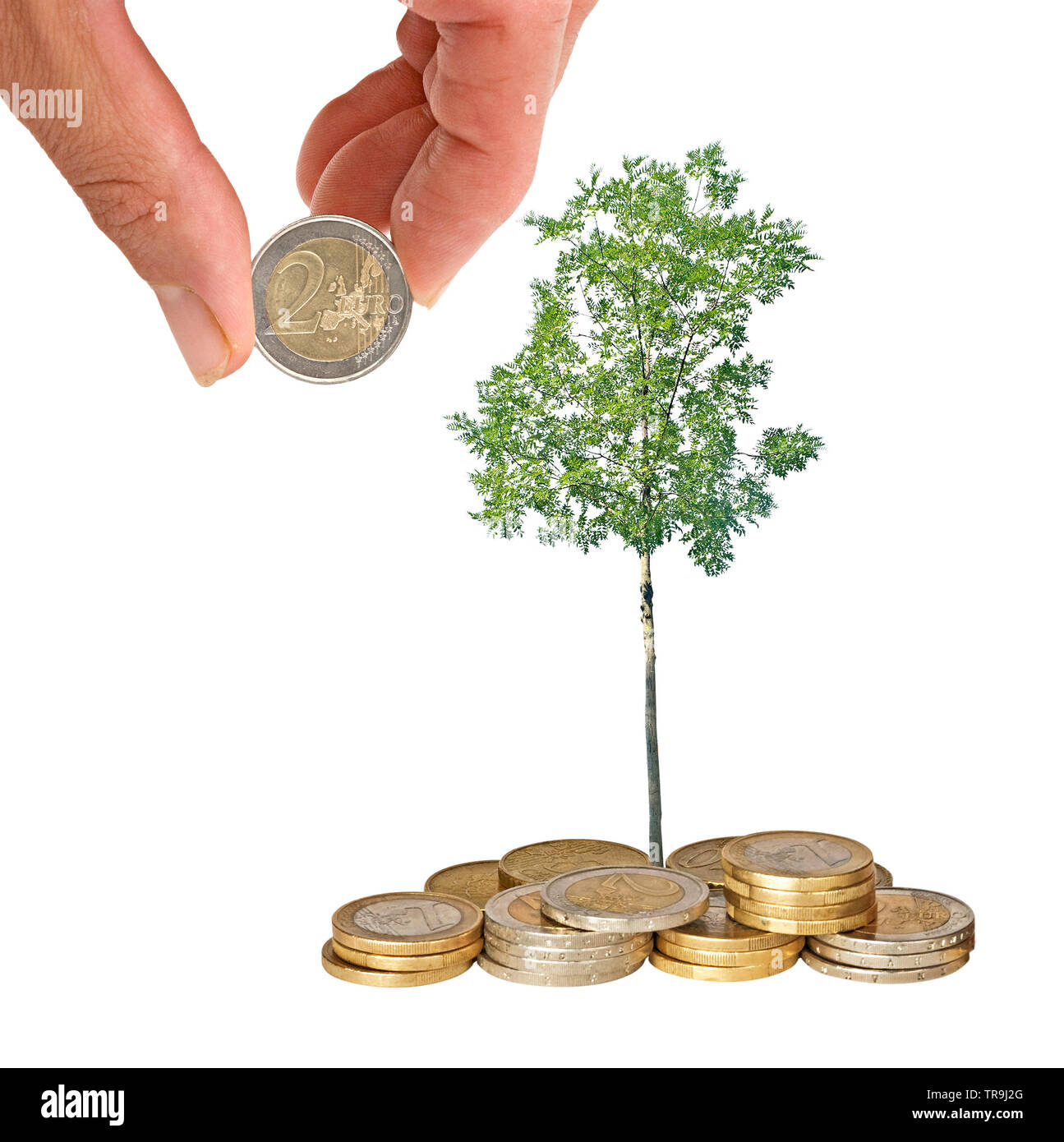 Tree growing from coins Stock Photo - Alamy
