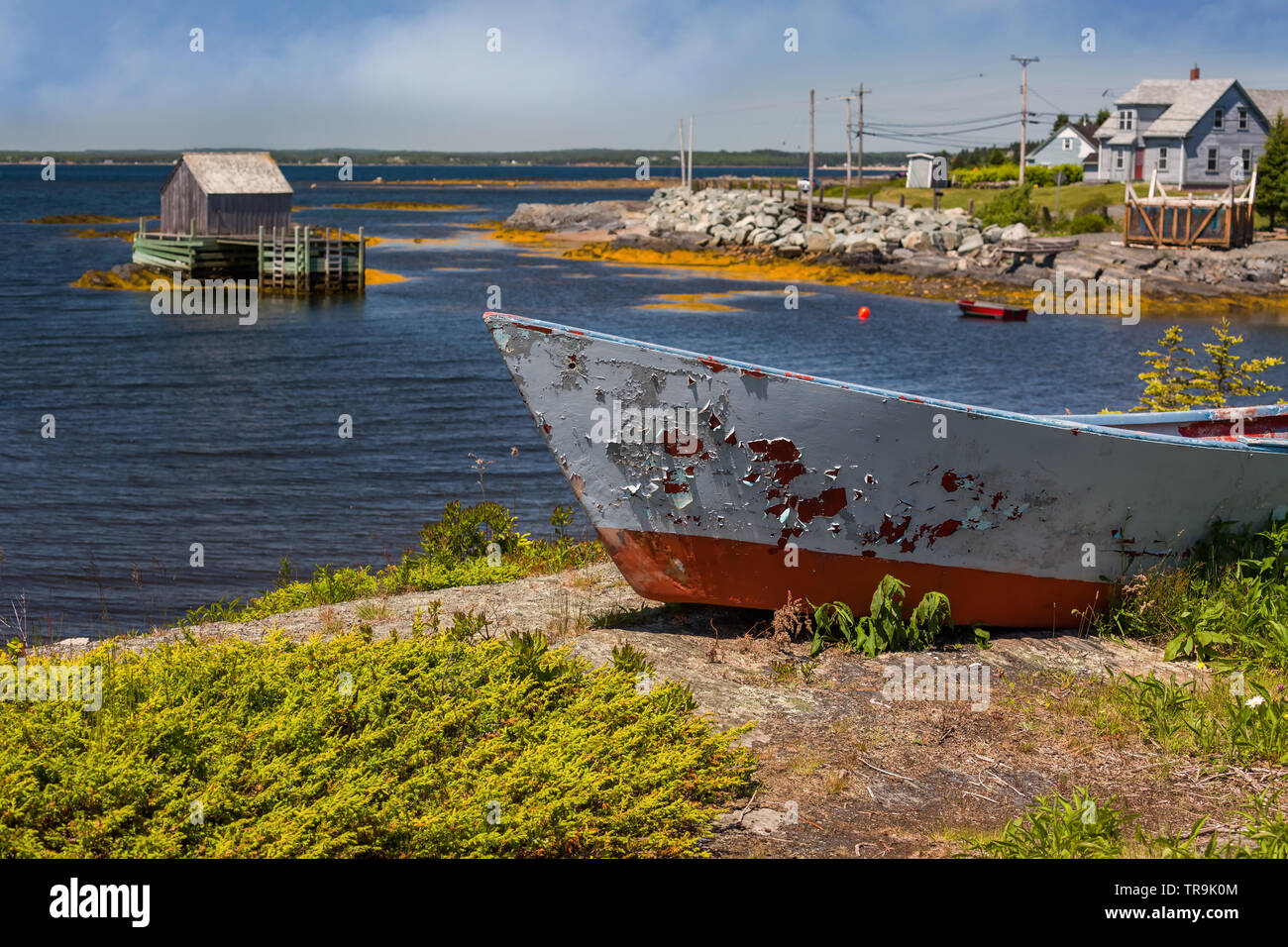 Water Seaweed Rocks High Resolution Stock Photography and Images - Alamy