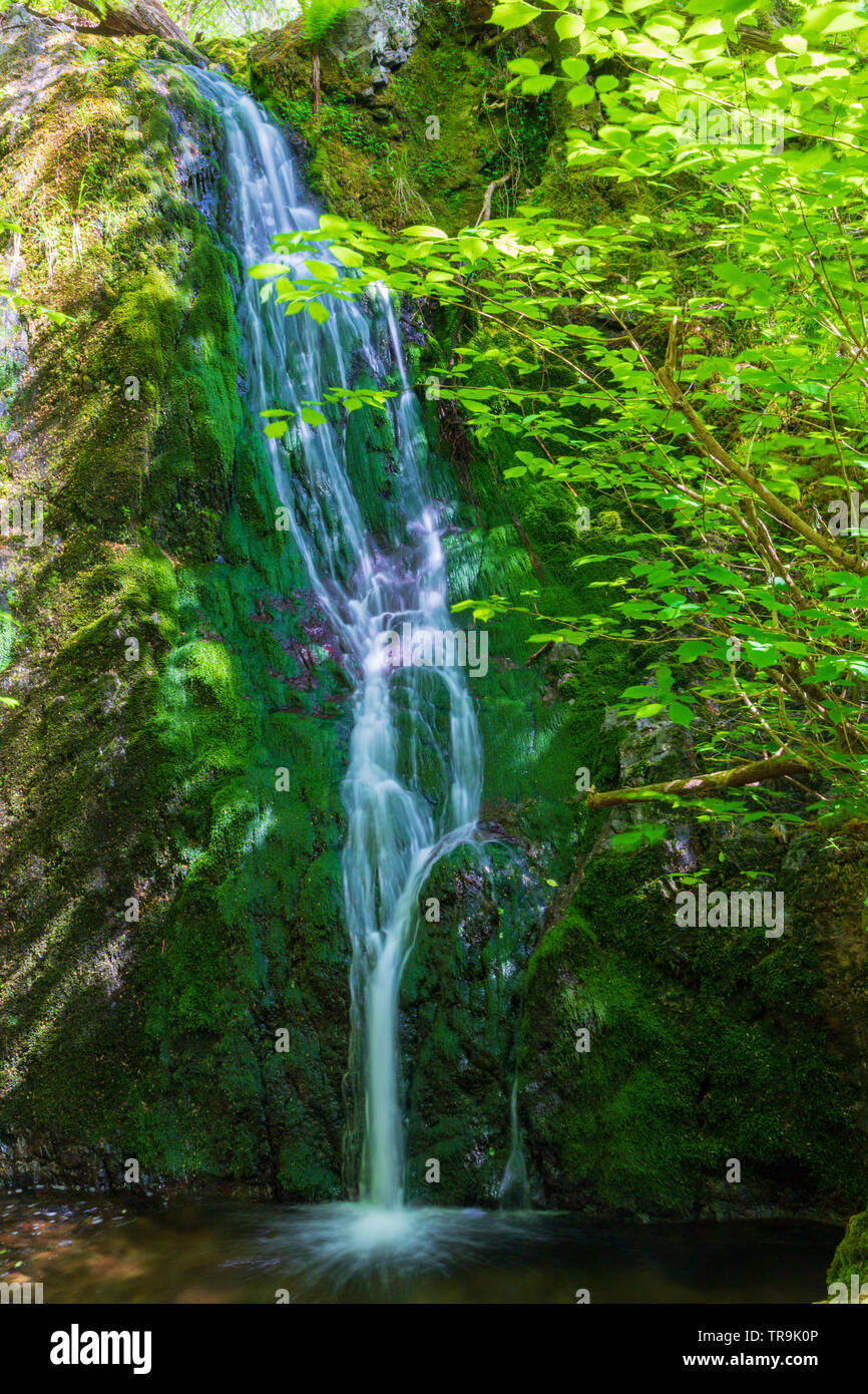 Tom Gill Waterfall, Tarn Hows, Lake District, National Park, UK Stock ...