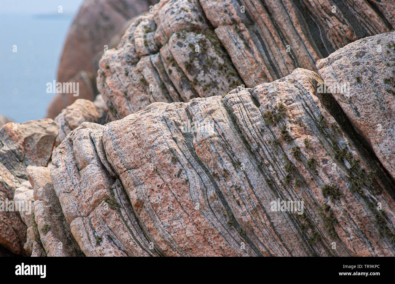 Grey and pink gneiss metamorphic rock Stock Photo - Alamy