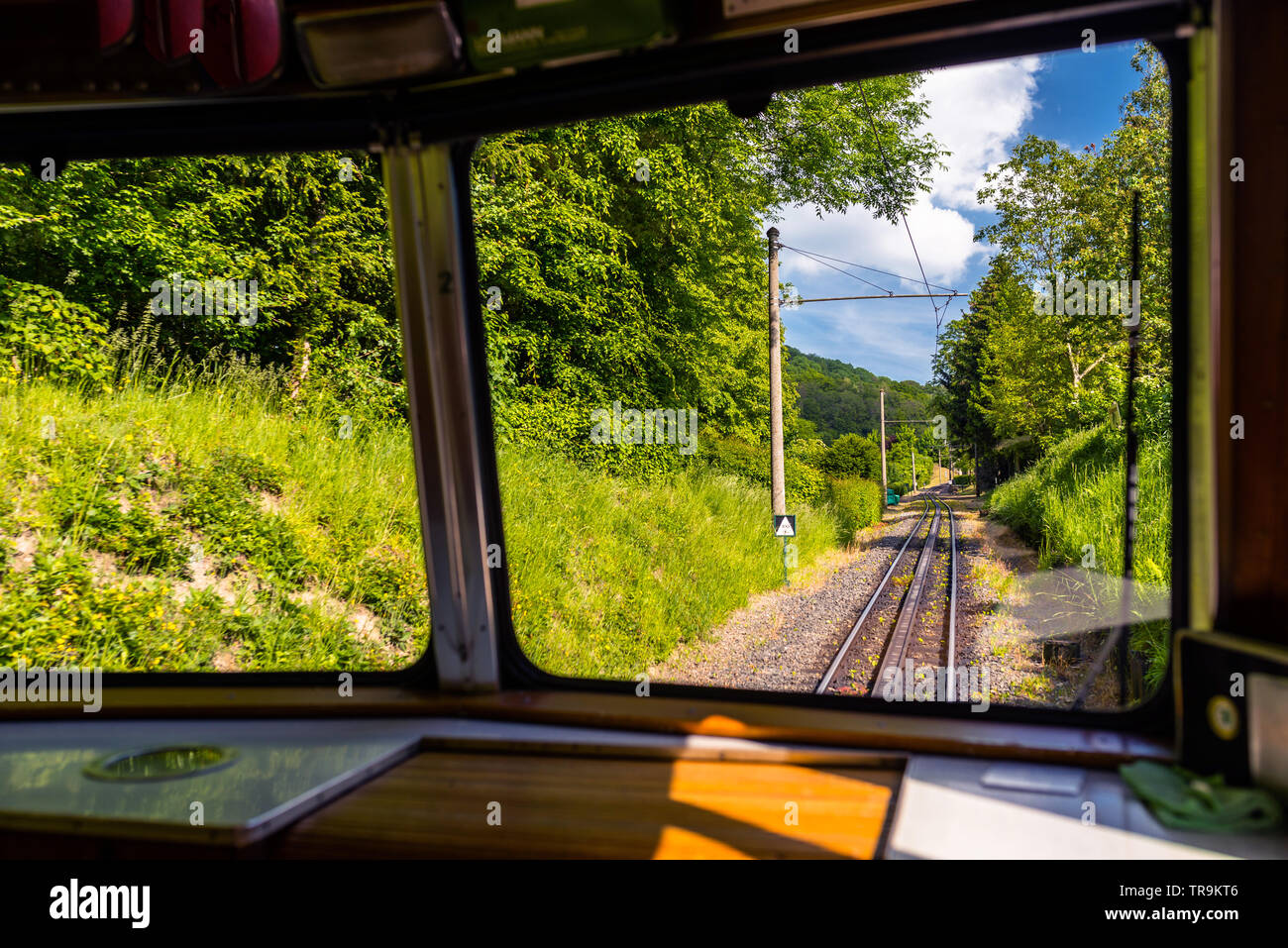 A view from the window of a moving train, visible tracks, trees and ...