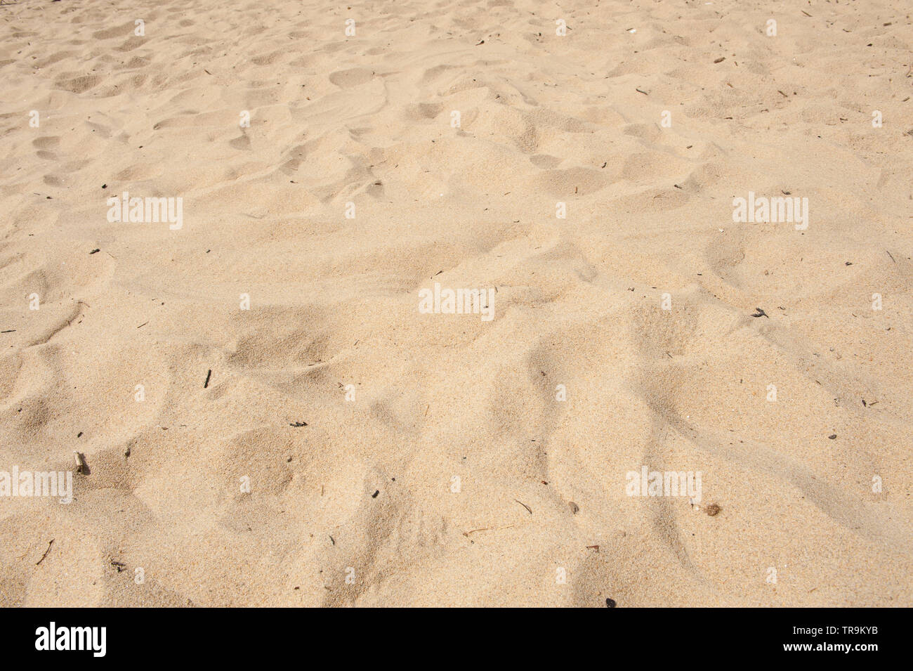 Fine and warm sand on a beach Stock Photo - Alamy