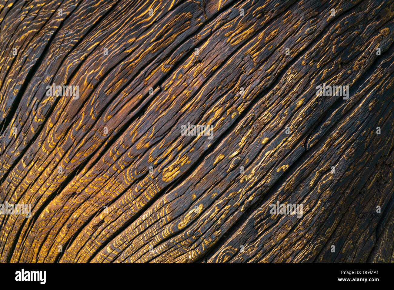 Wooden texture. Burned tree Stock Photo - Alamy
