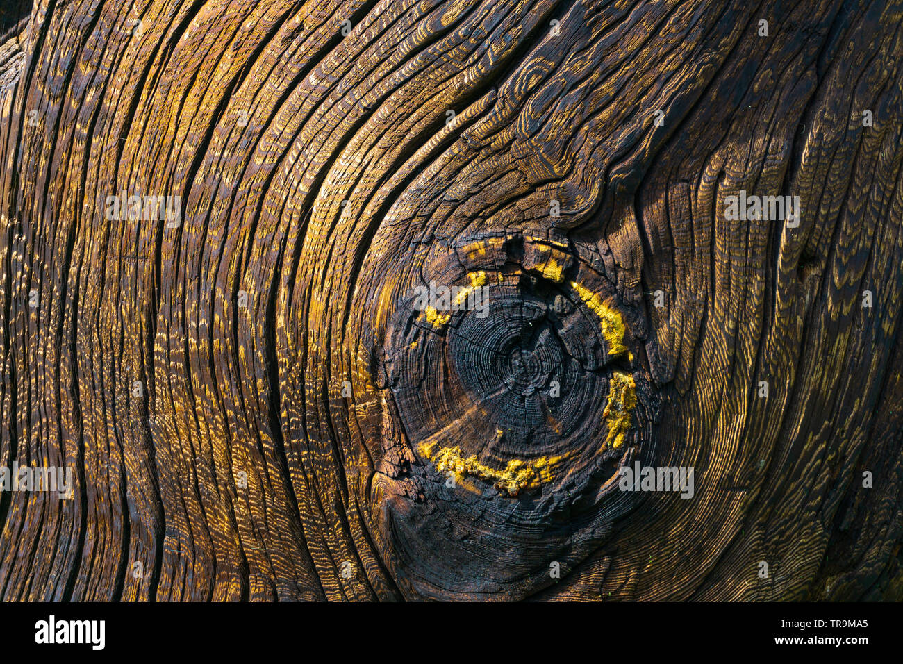 Burnt oak hi-res stock photography and images - Alamy