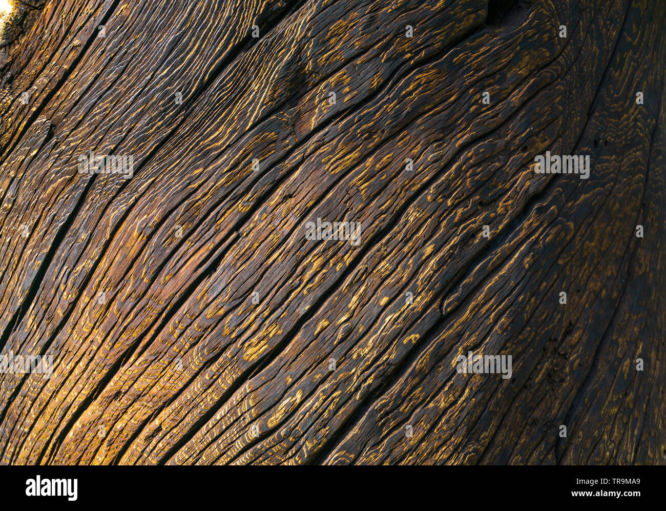 Wooden background. Texture of burnt tree Stock Photo - Alamy