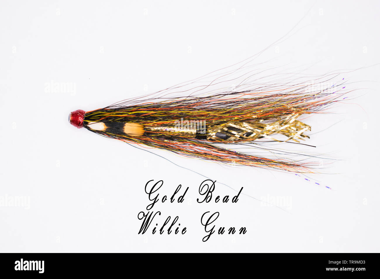 Gold flies hi-res stock photography and images - Alamy