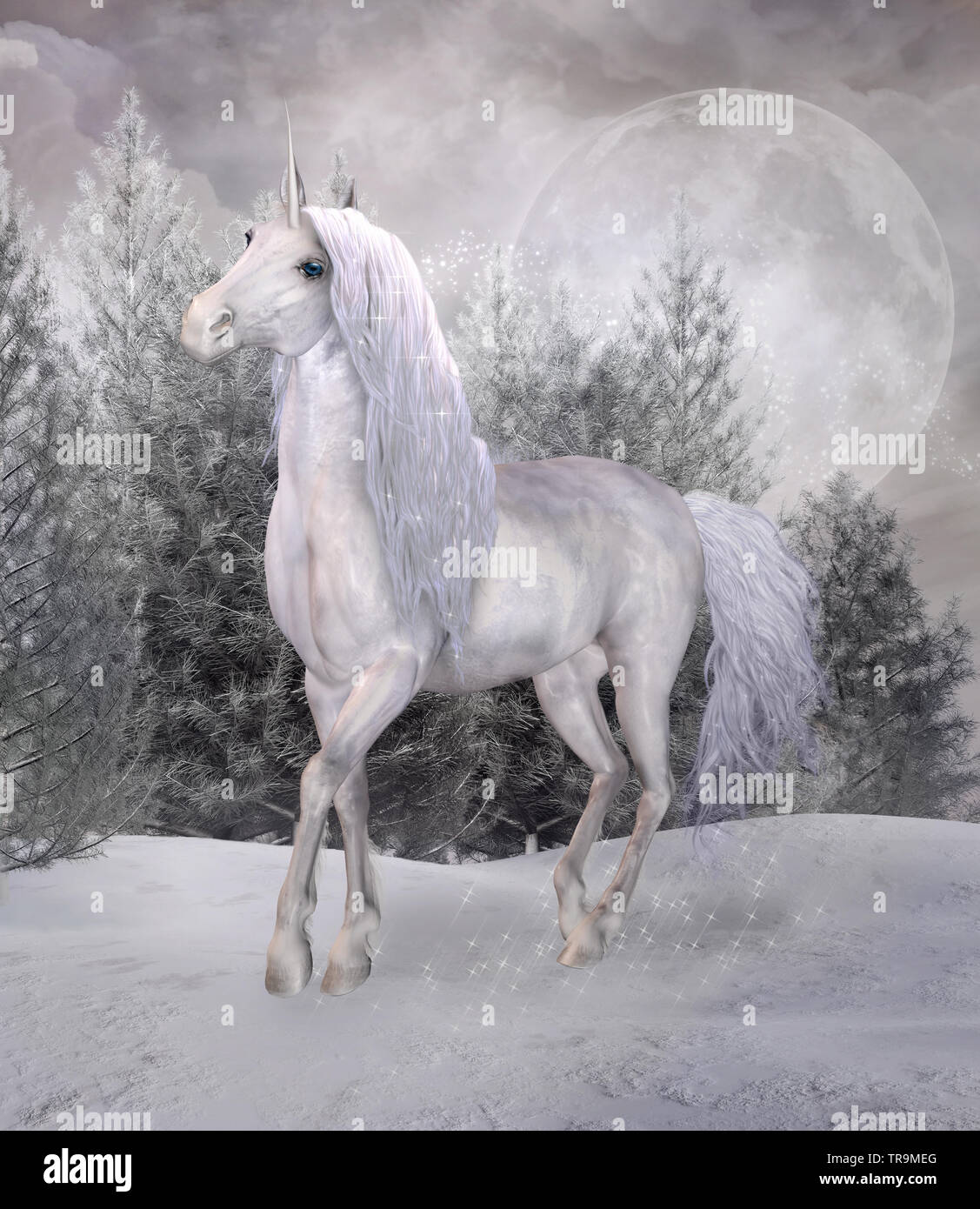 Winter unicorn hi-res stock photography and images - Alamy