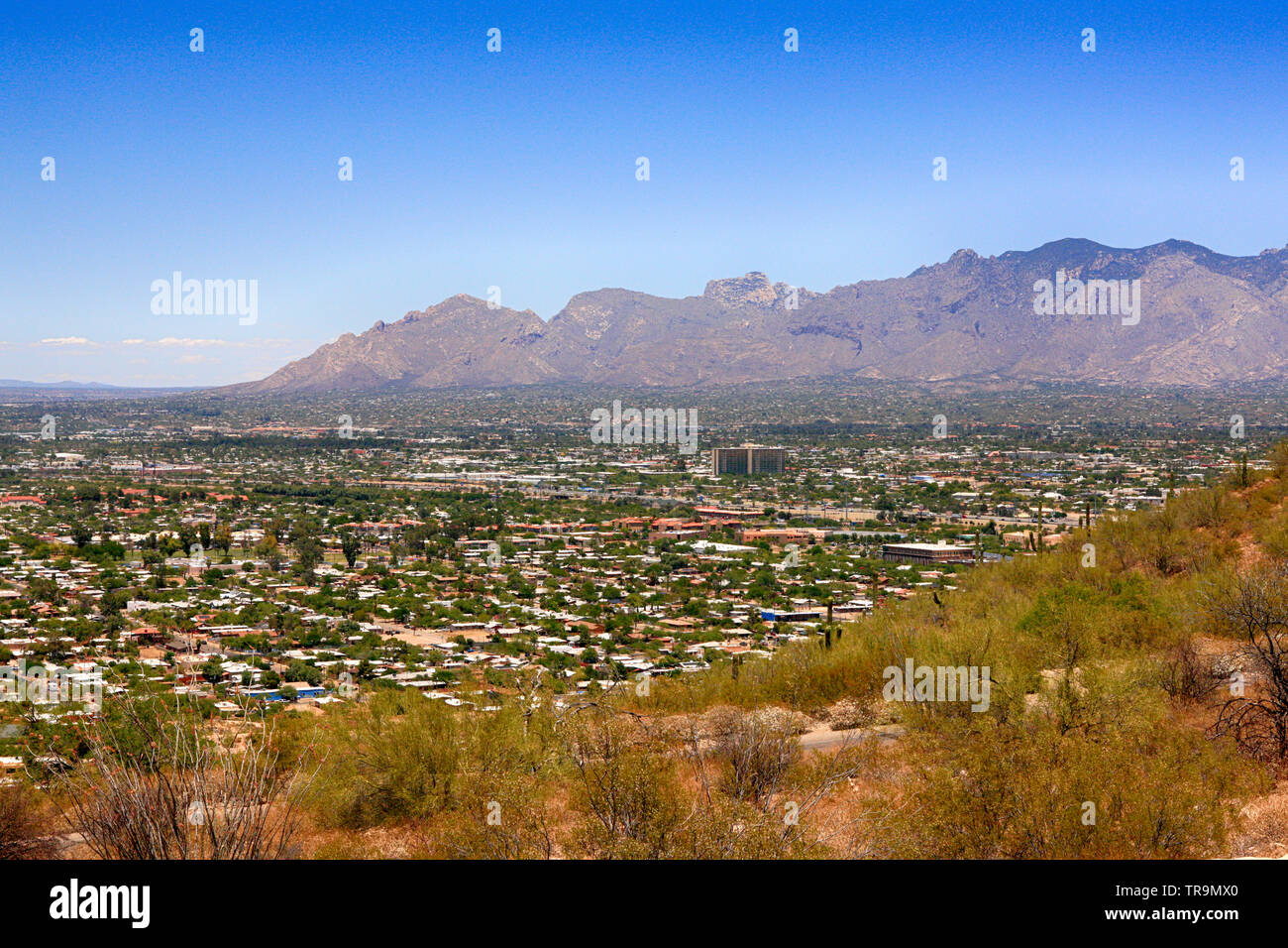 Sentinel peak park a mountain hi-res stock photography and images - Alamy