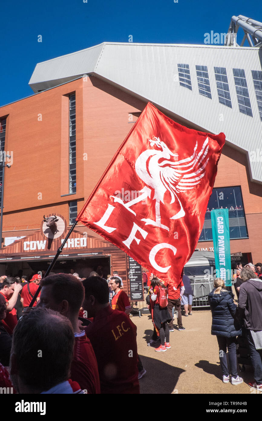 Liverbird anfield hi-res stock photography and images - Alamy