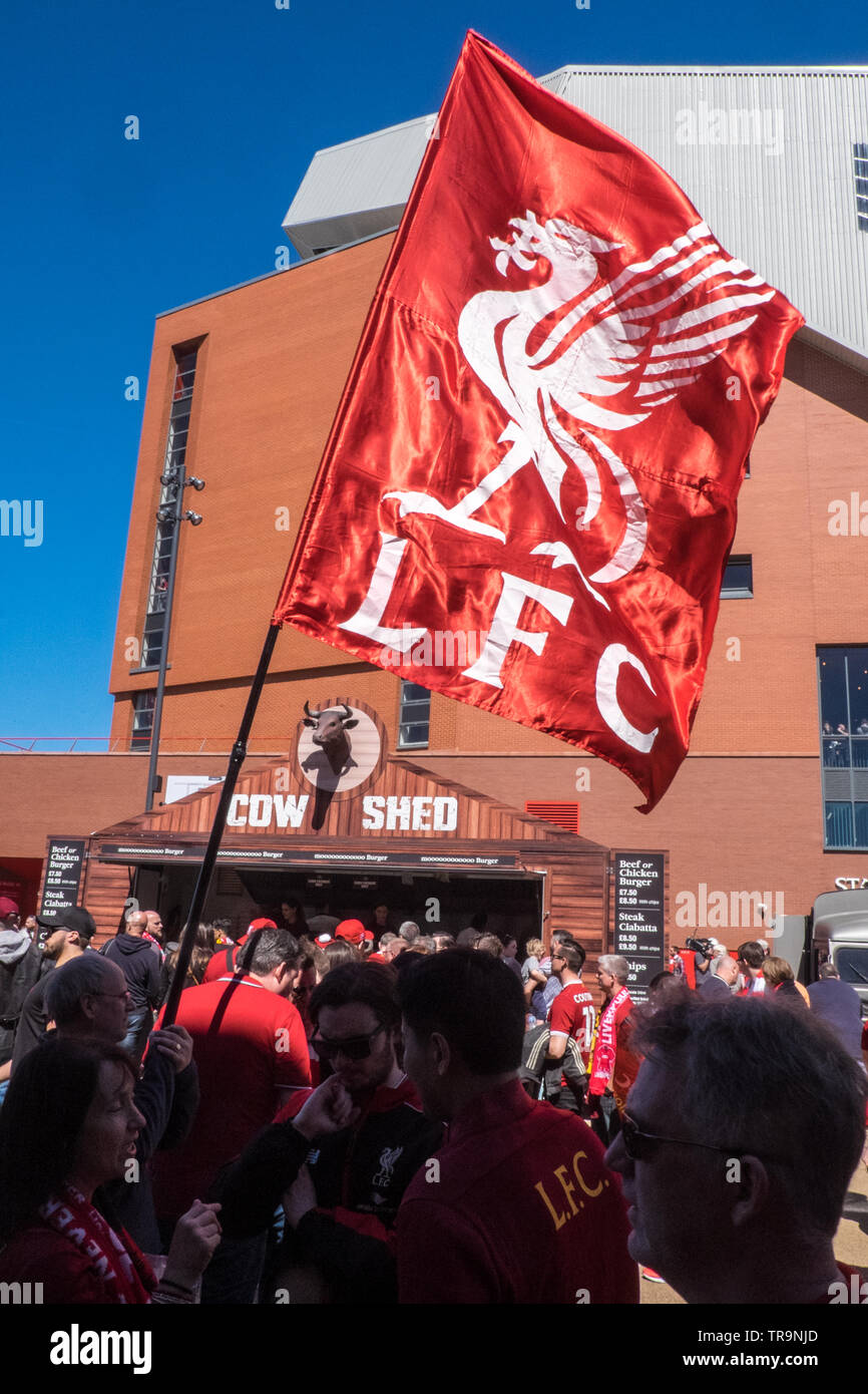Liverbird anfield hi-res stock photography and images - Alamy