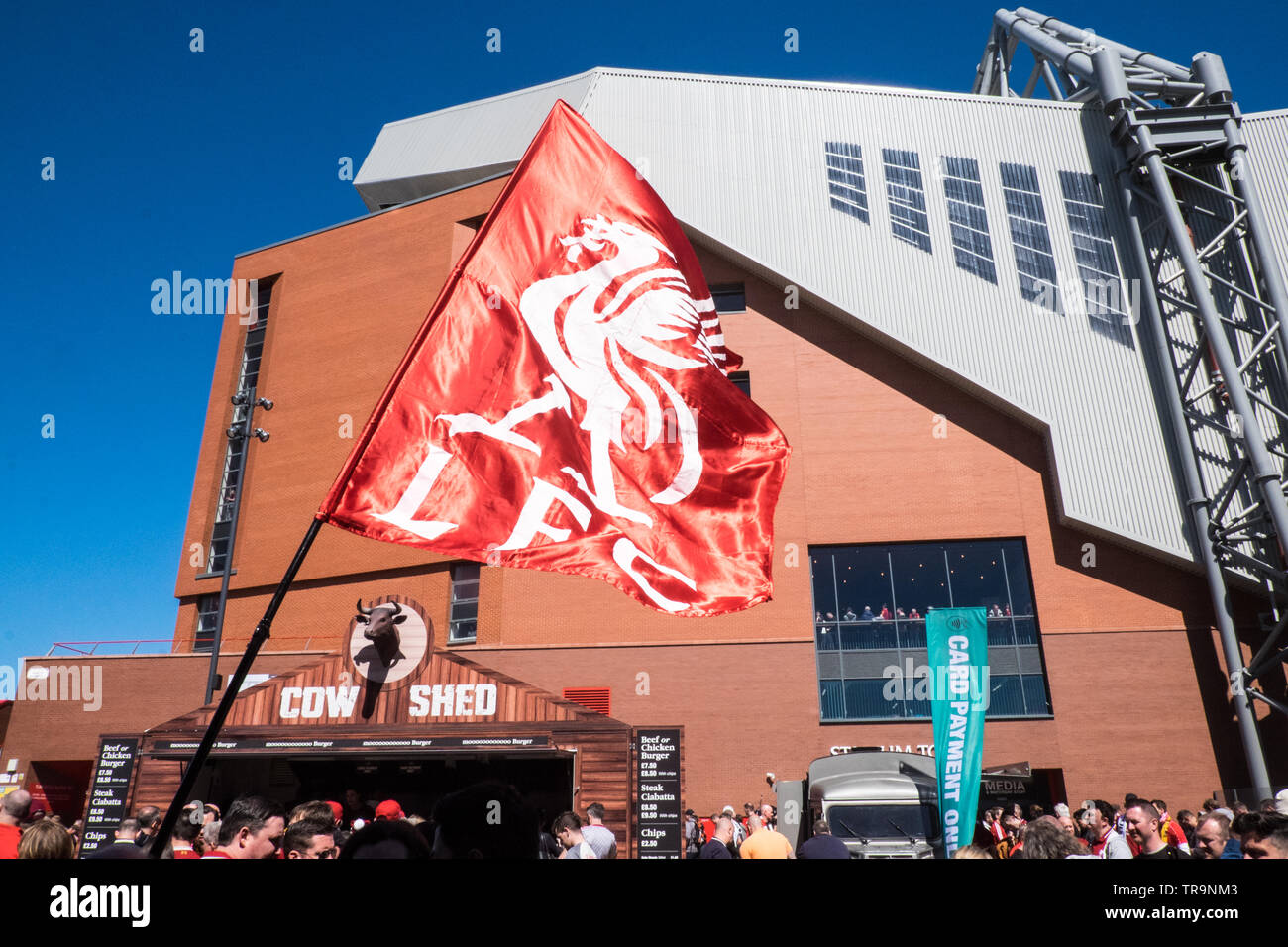 Liverbird anfield hi-res stock photography and images - Alamy