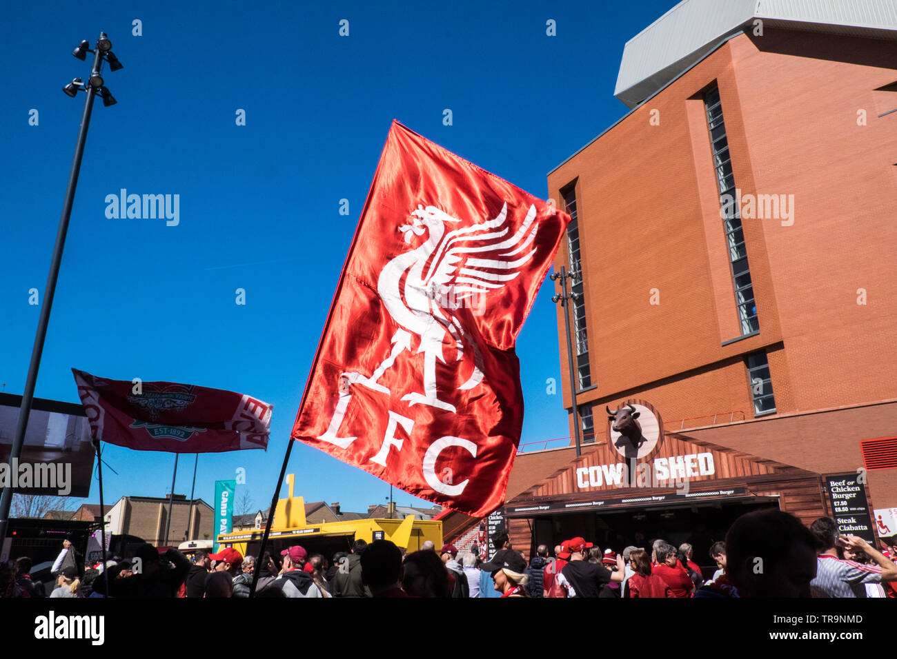 Liverbird anfield hi-res stock photography and images - Alamy