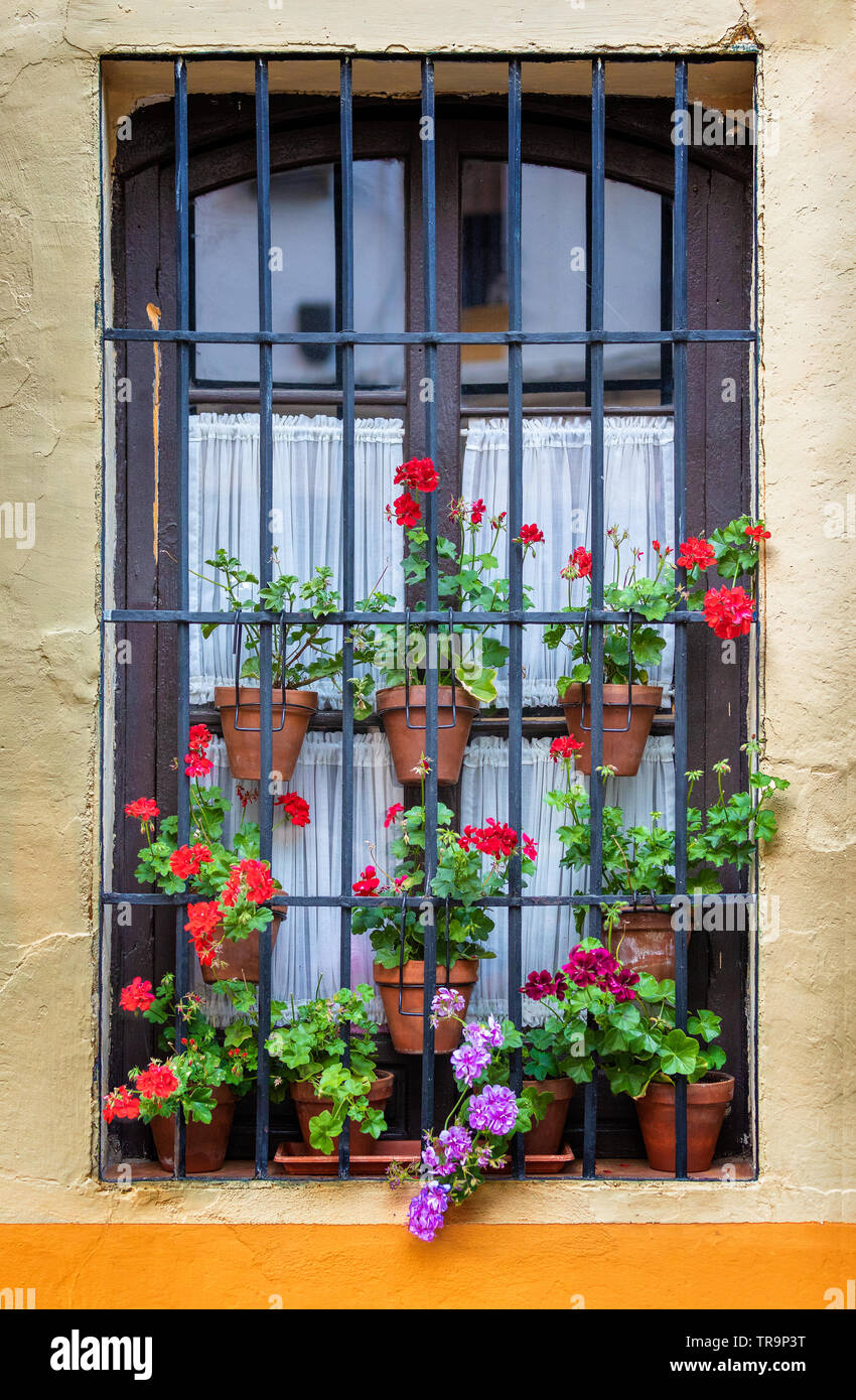 Latticed window hi-res stock photography and images - Alamy