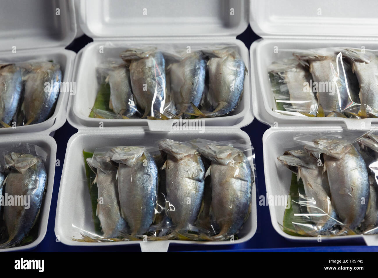 Packaged fish hi-res stock photography and images - Alamy