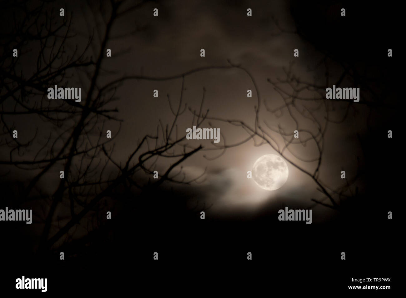 Full Moon Black Backdrop High Resolution Stock Photography and Images ...