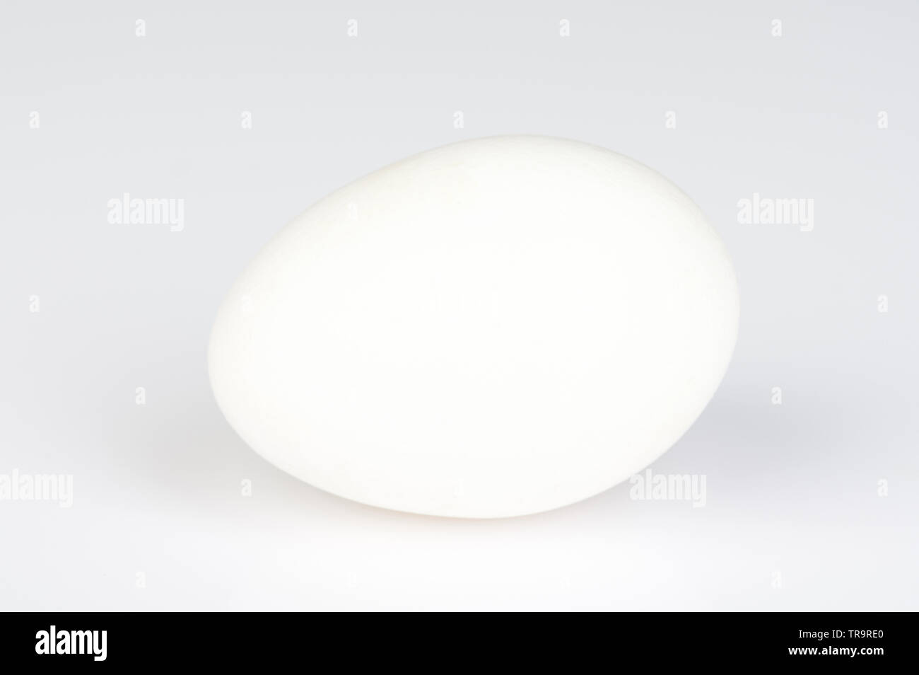 One white egg above top view isolated Stock Photo - Alamy