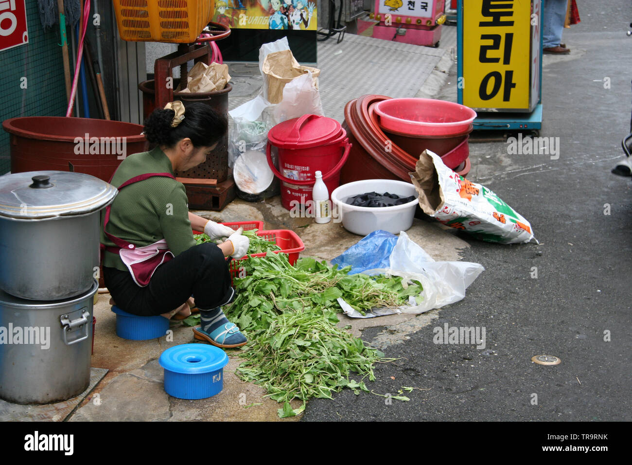 Korean woman cleaning green amaranth vegetables in Busan South Korea ...
