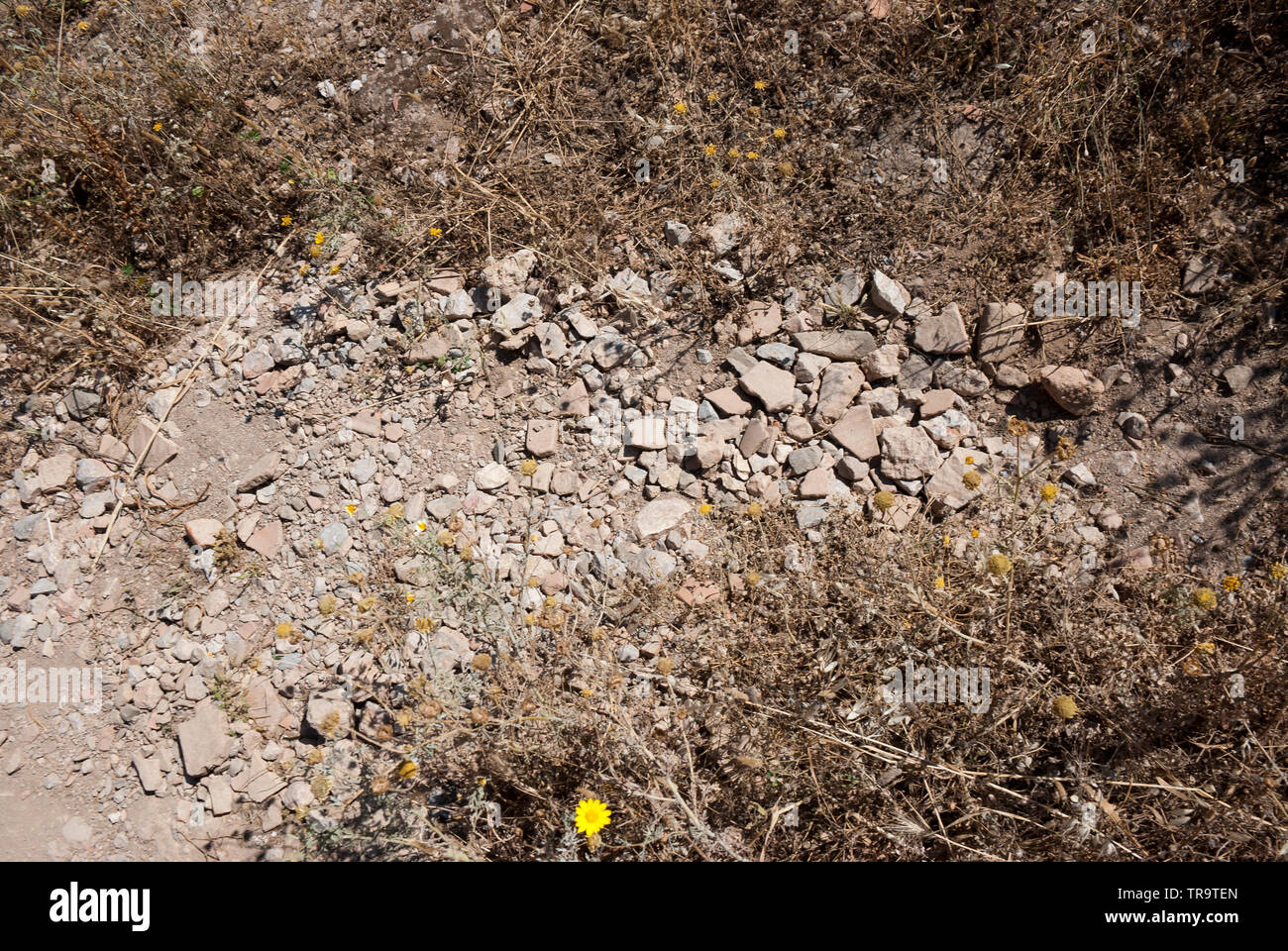 Pottery fragments at a virgin archaeological site near the Acropolis of ...