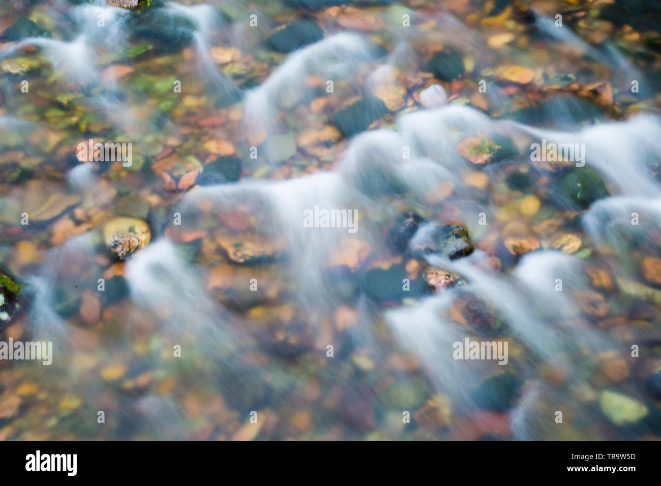 Wispy rushes hi-res stock photography and images - Alamy