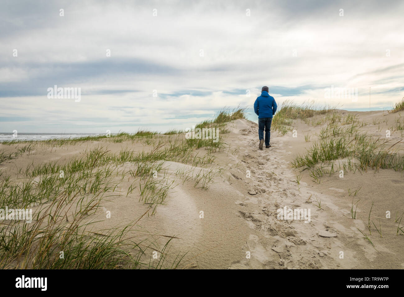 A man in blue walks along the path in sand dunes, Diamond Beach ...