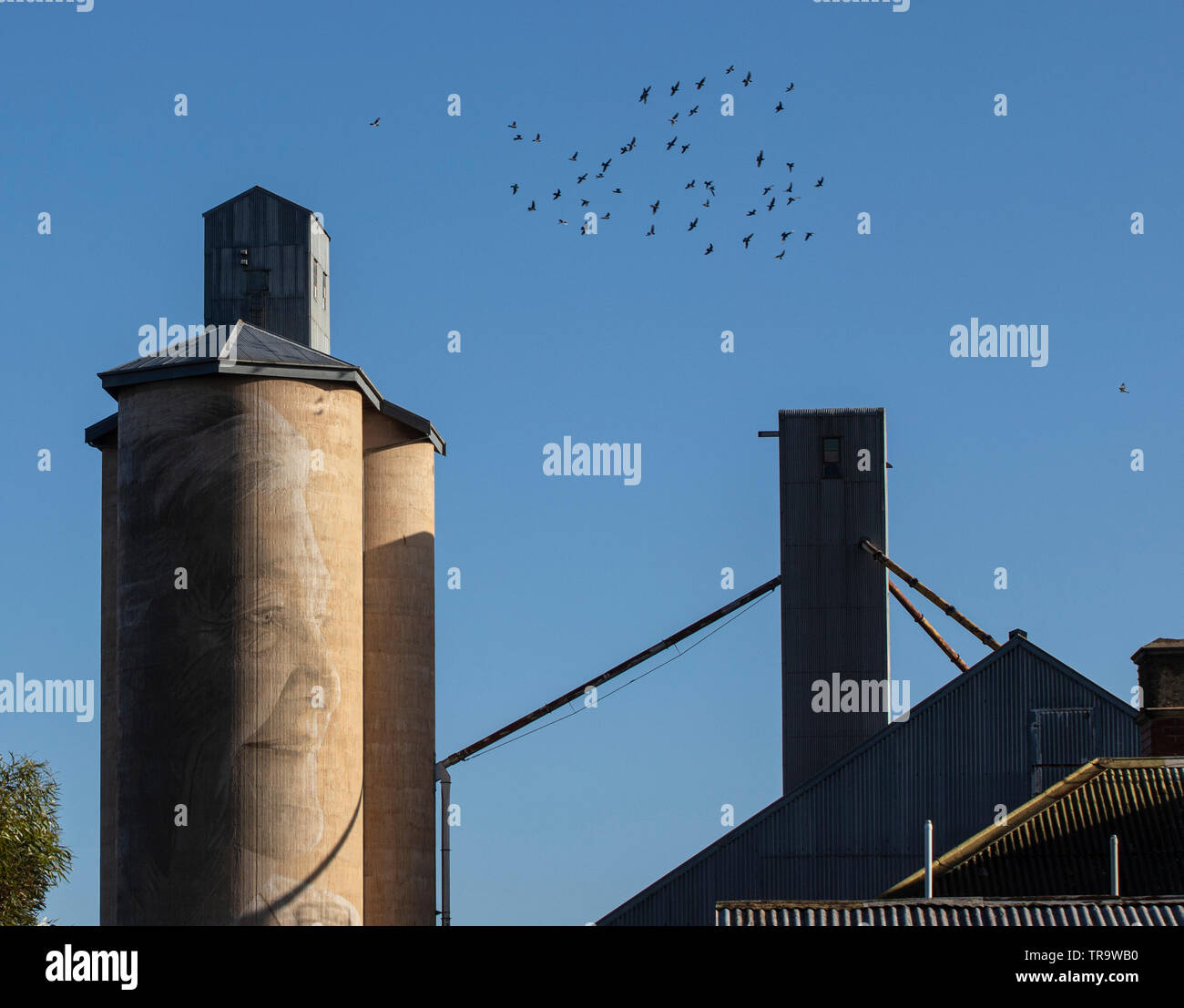 Australian silo art trail hi-res stock photography and images - Alamy