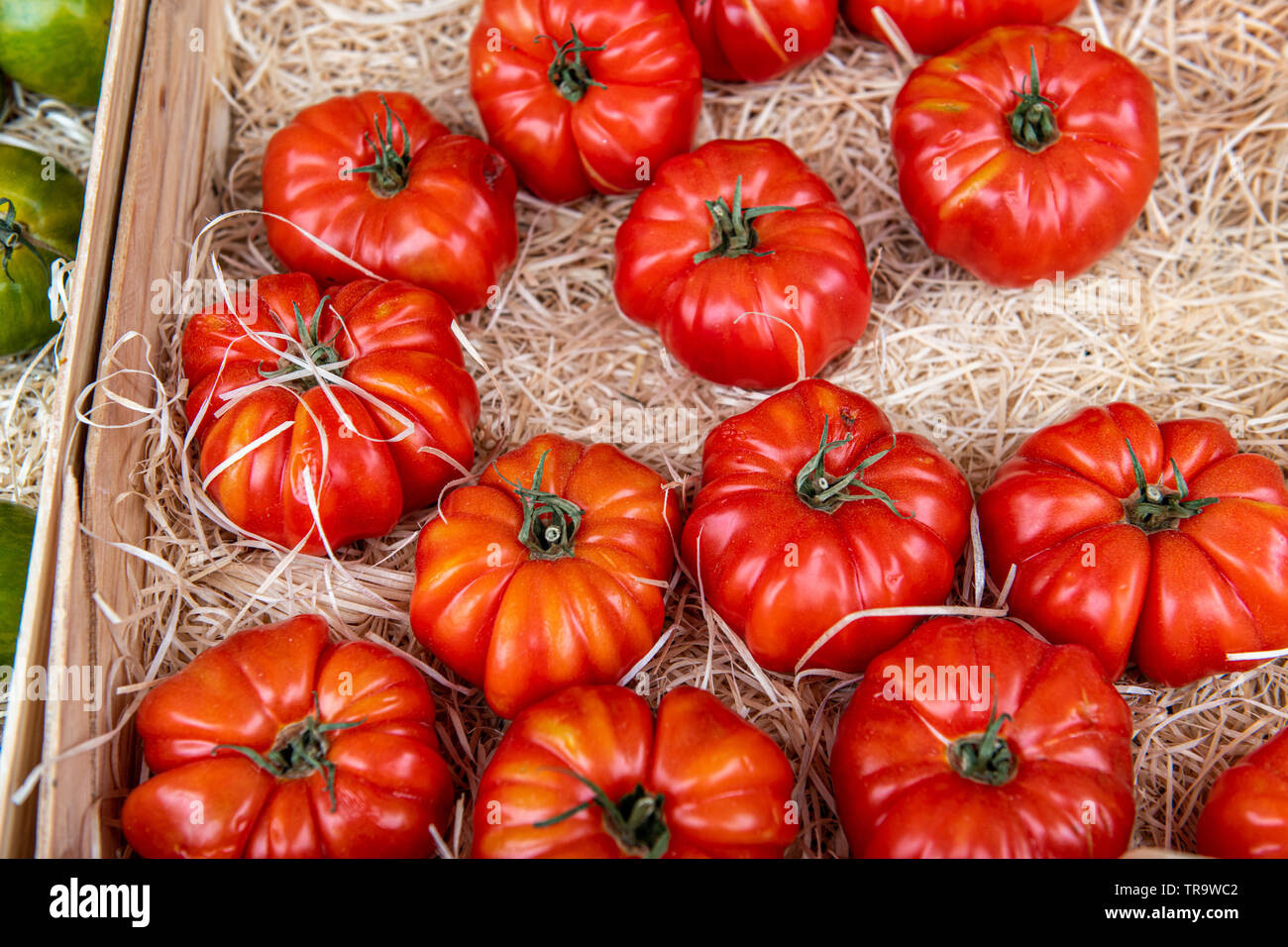 Farm Fresh Tomatoes for Sale at the Farmer's Market in Libourne, France ...