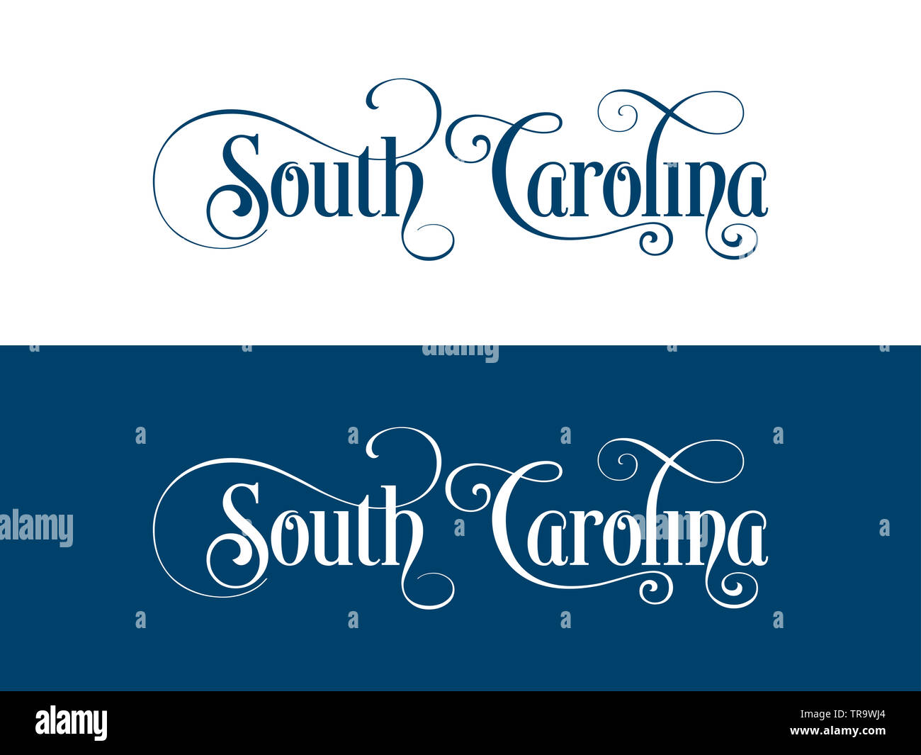 Typography of The USA South Carolina States Handwritten Illustration on ...