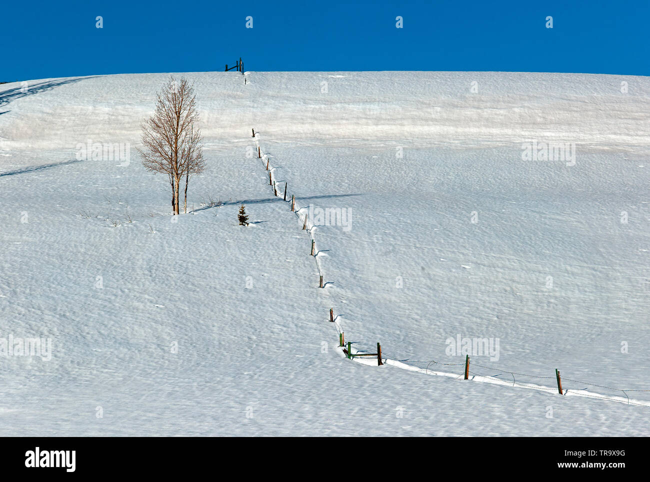 SNOW AND FENCE LINE Stock Photo - Alamy