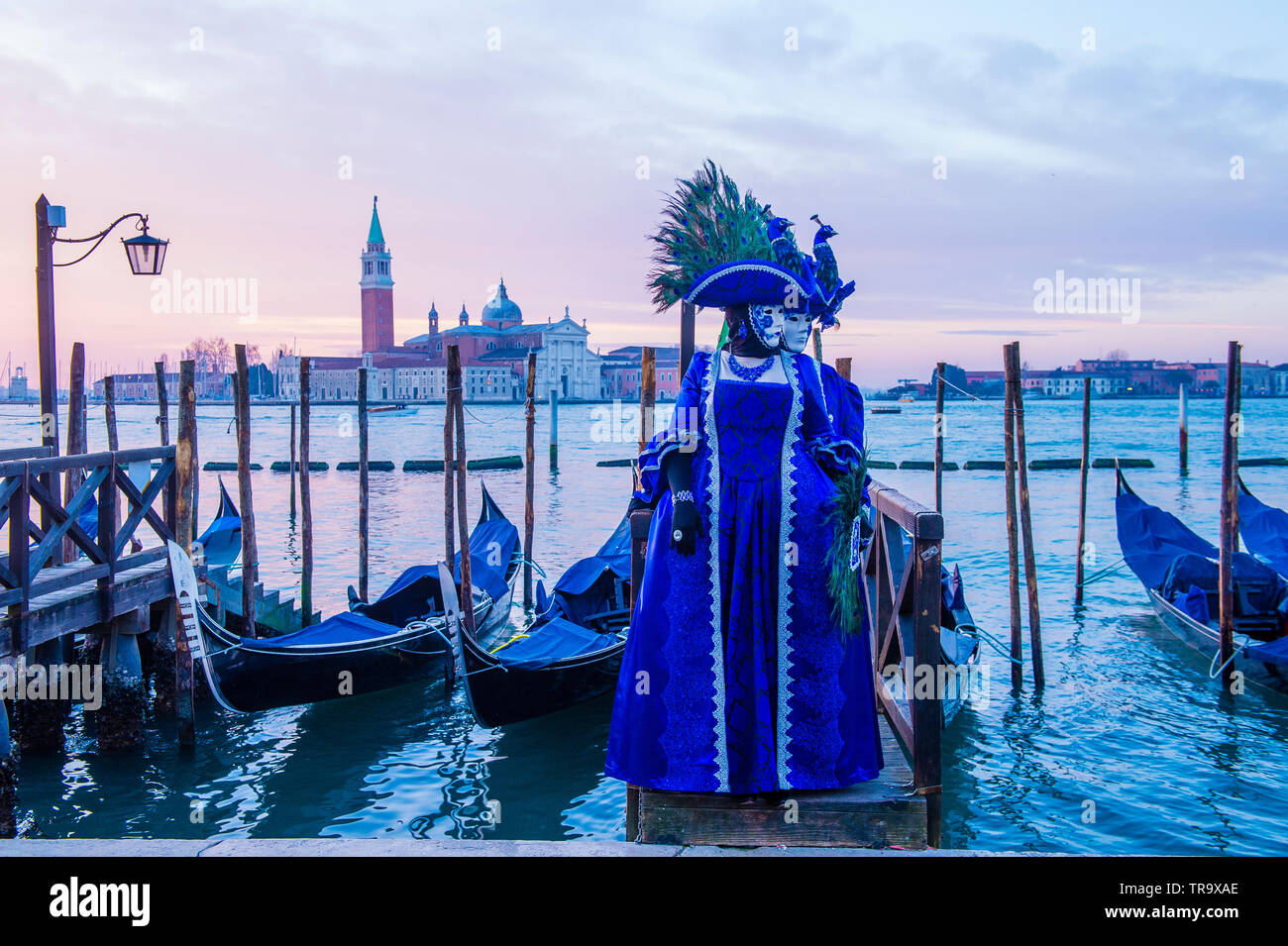VENICE, ITALY - FEB 26 : Participant in the Venice Carnival in Venice ...