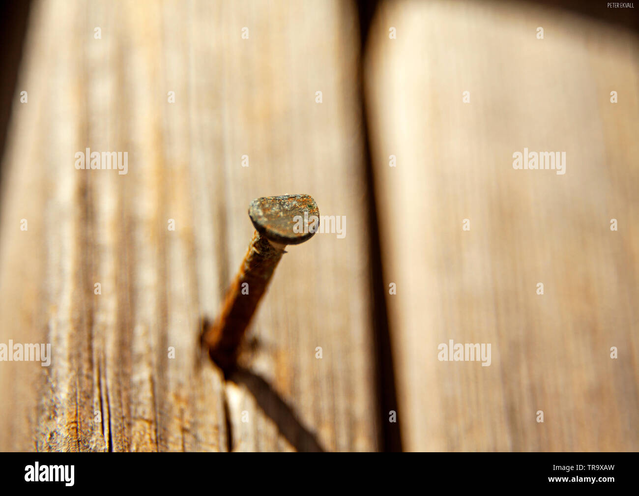 rusty nail in wooden plank Stock Photo - Alamy