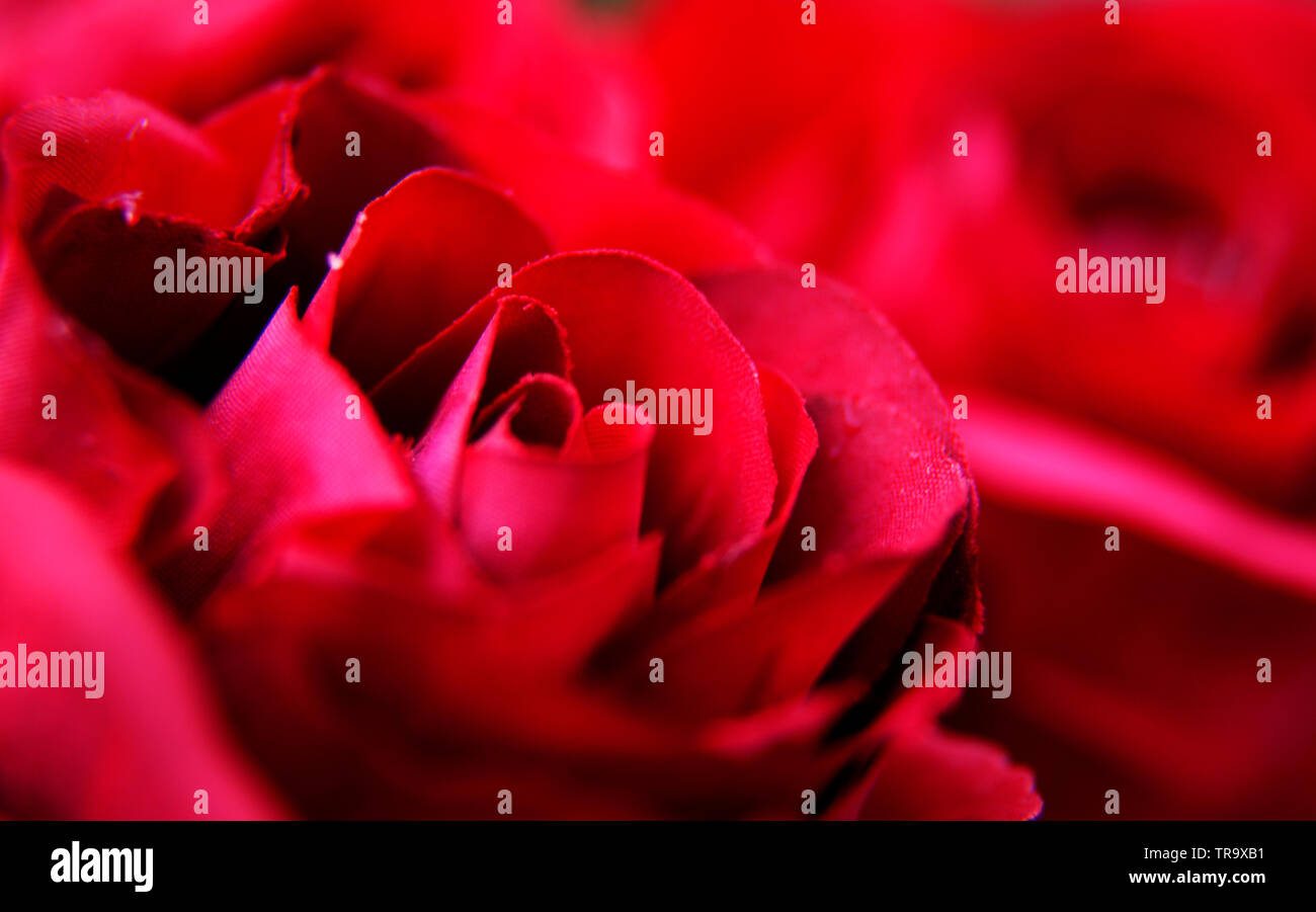 artificial red roses in a stack Stock Photo - Alamy
