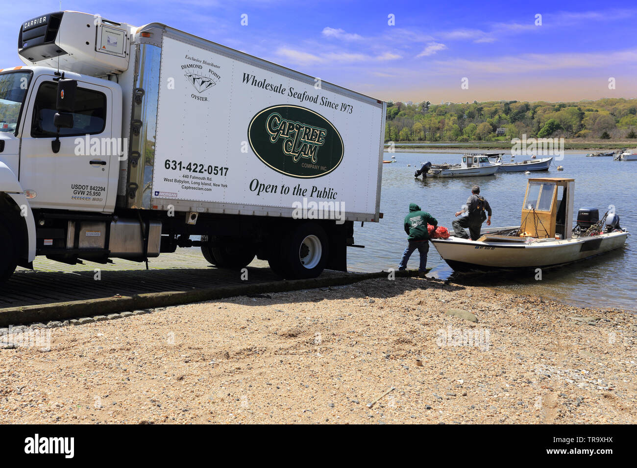 Clam harvesting Cold Spring Harbor Long Island New York Stock Photo - Alamy