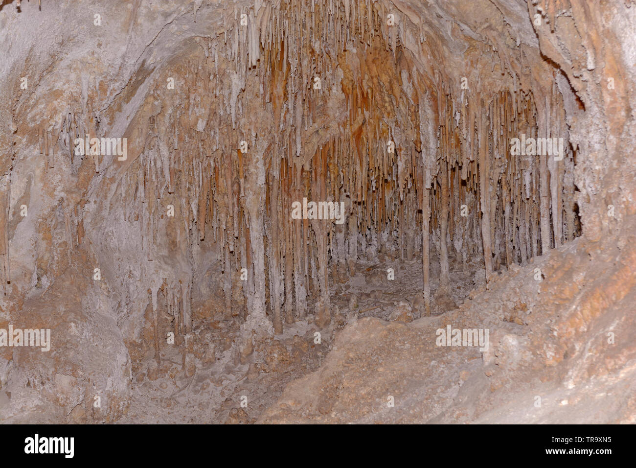 Stalactites and Columns in a Carlsbad Caverns in New Mexico Stock Photo ...