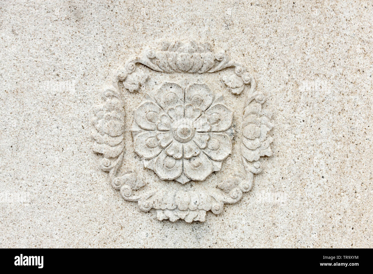 Luxury gypsum decoration element, wall concept stucco, interior ...