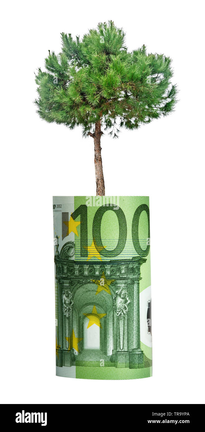 tree growing from euro bill Stock Photo - Alamy