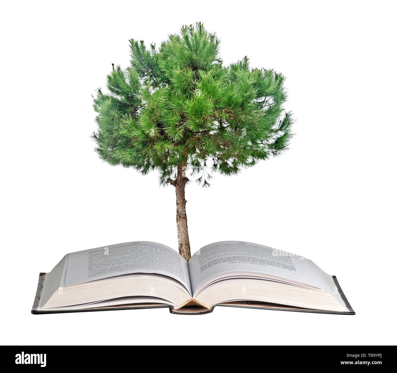 Tree growing from book hi-res stock photography and images - Alamy