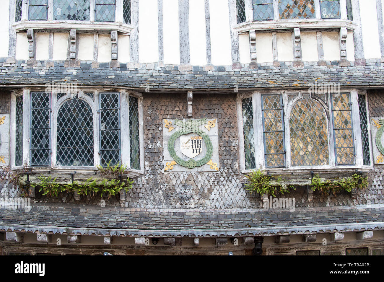 The Tudor House, Exeter, Devon Stock Photo - Alamy